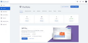 Benefits of Bluehost Control Panel | Why Does It Matter?