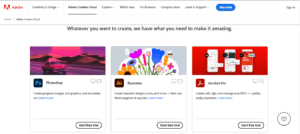 Creating Visual Assets: Tools and Tips for Beginners