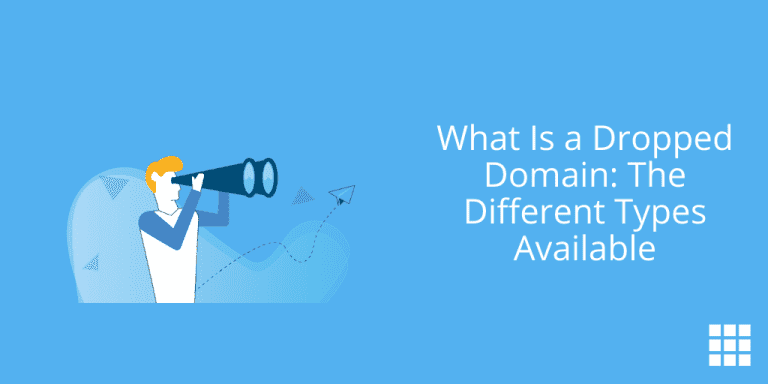 What Are Dropped Domains? + Pros & Cons of Buying One