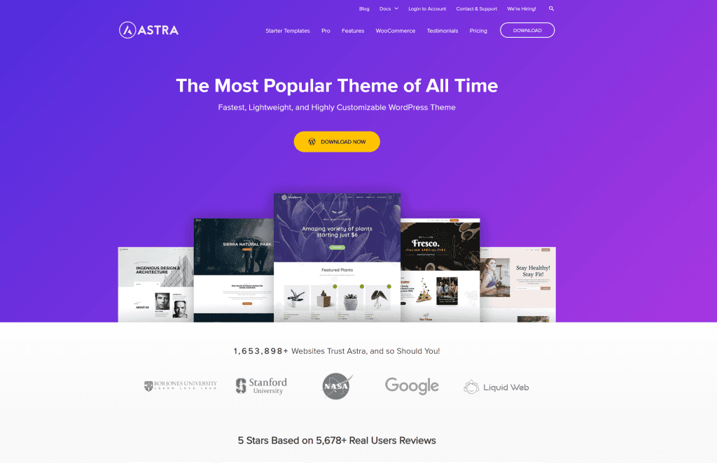 How to Choose a WordPress Theme | Bluehost