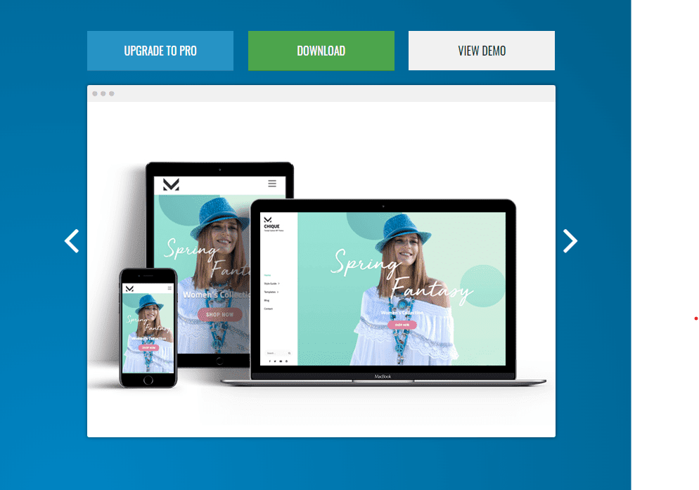 How to Choose a WordPress Theme | Bluehost