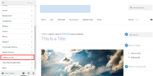 How To Hide Page Title in WordPress in 2025