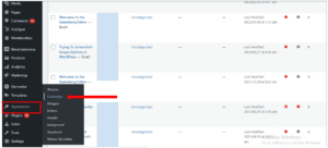 How To Hide a Page Title in WordPress in 2024