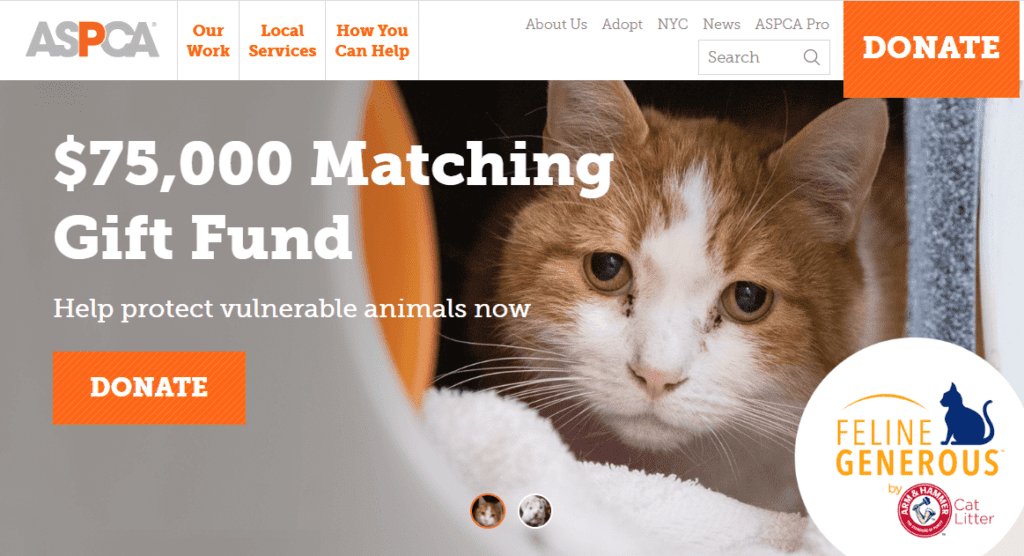 .ORG vs .COM | What's the Difference + How to Choose the Right TLD