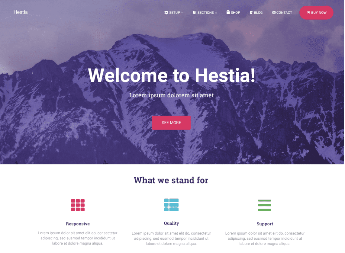 Top 40 WordPress Blog Themes (Free and Premium Themes)