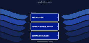 Domain Parking: Your Guide to Monetizing Domain Assets