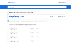 .com vs .net: Which Domain Extension Should You Choose?