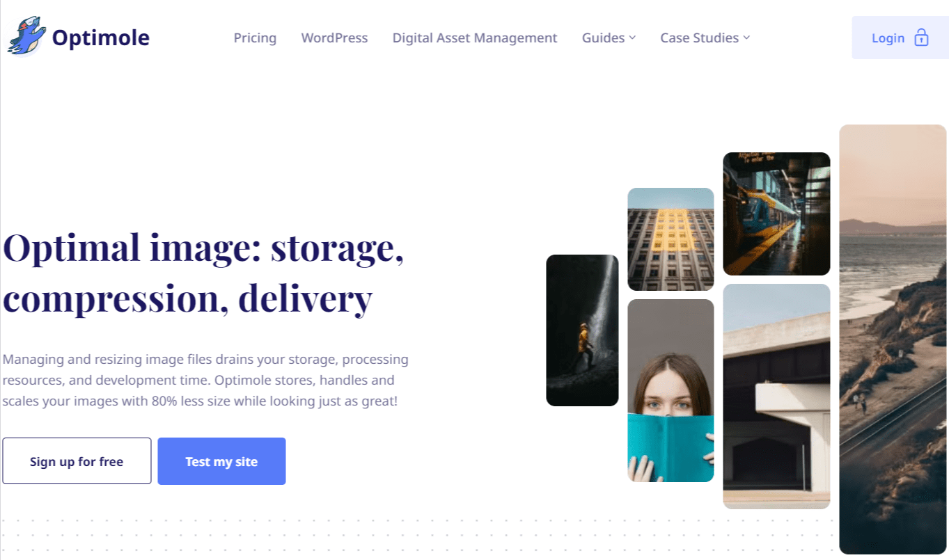 Top 13 Best WordPress CDN Services in 2025 - Bluehost Blog