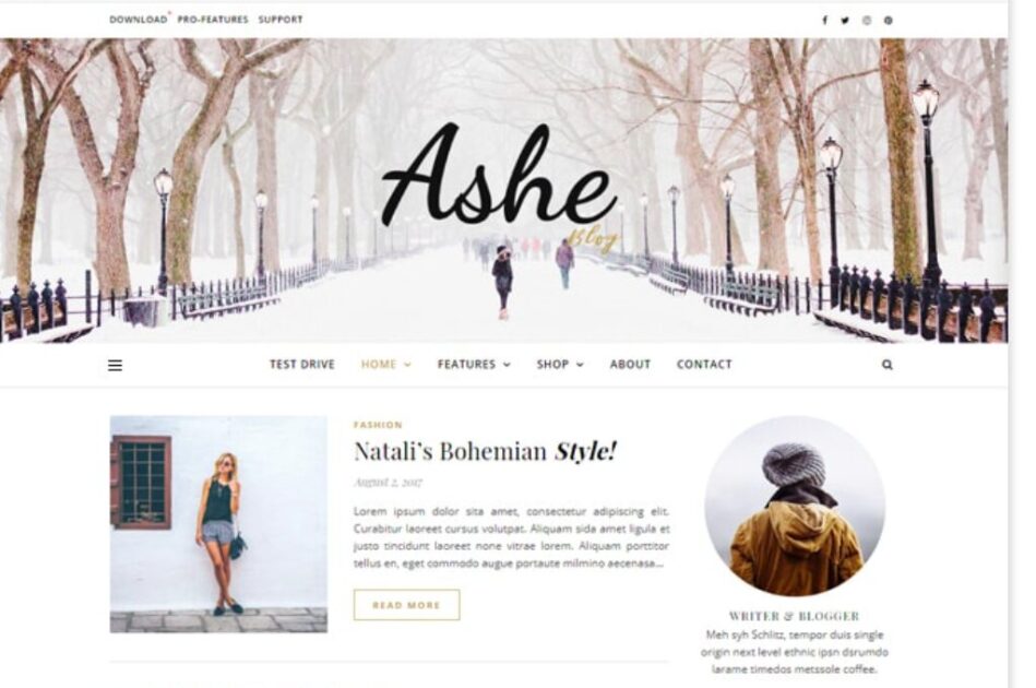 20+ Best WordPress Blog Themes (2026) – Free & Premium Picks