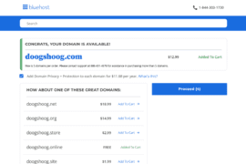 What is a Domain Name? Types & How to Register (2025)