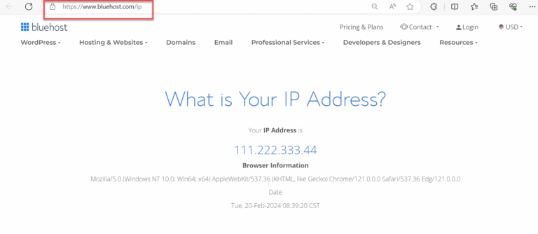 How to Find Your Public IP Address on Any Device