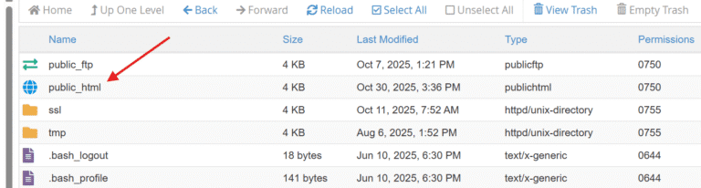 Change index.html File & Set a Custom Homepage in WordPress