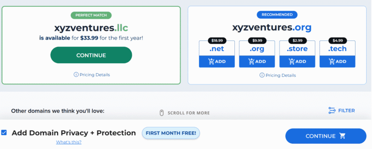 Should I Buy a .LLC Domain Name? A Complete Guide