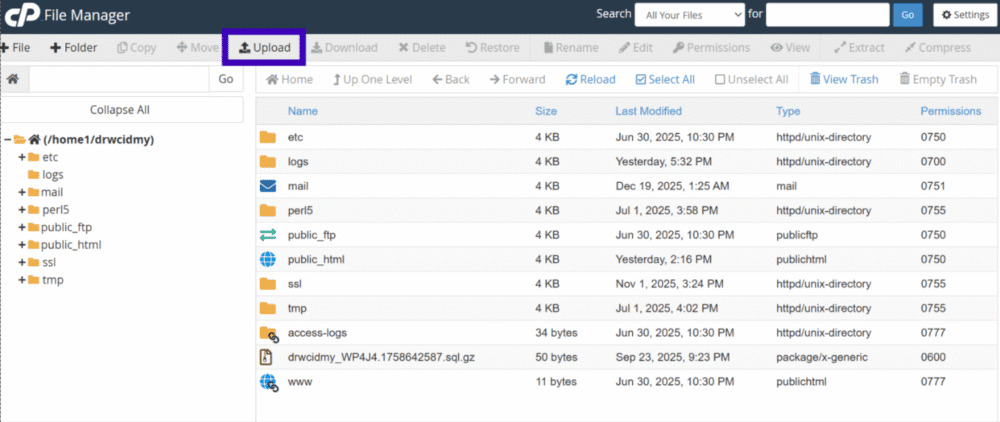 How to Use the cPanel File Manager: A Simple Guide