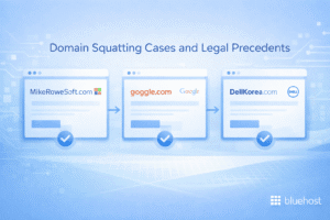 What Is Domain Squatting 2026: Protection Strategies