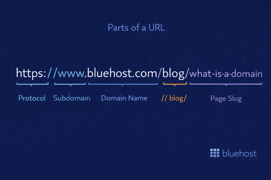 Domain vs URL: What’s the Difference?